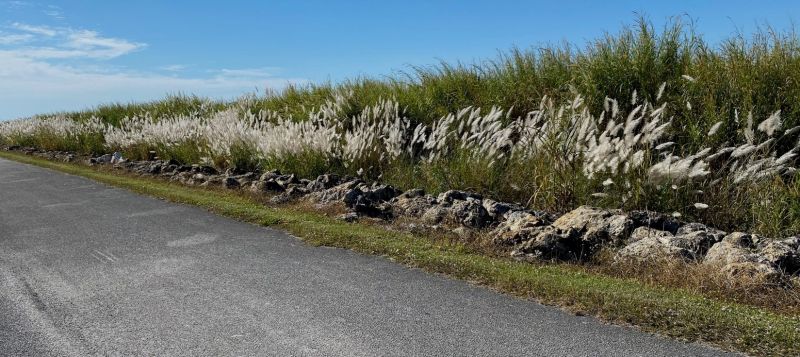 NSF Research Traineeship program expands to include 43 states | NSF - U ...