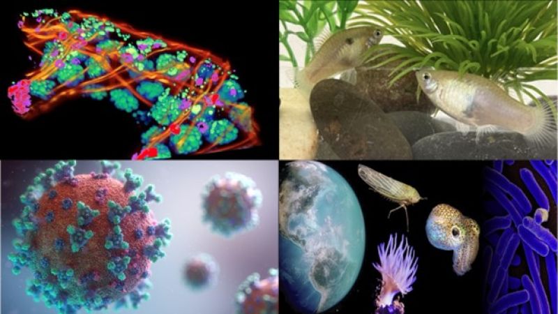 Integrative biological science and training are the focus of 4 new ...