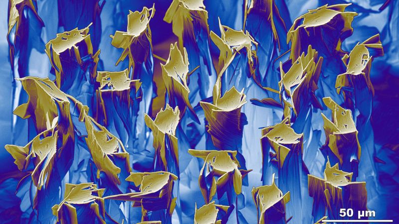 MagLab makes magic with magnets | NSF - National Science Foundation MagLab makes magic with magnets | NSF - National Science Foundation