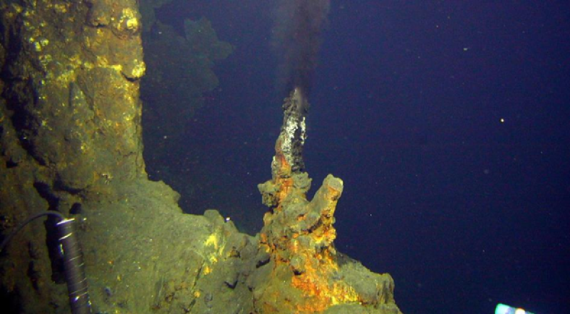 High-Temperature Deep-Sea Microorganisms Boast Immense Biodiversity ...