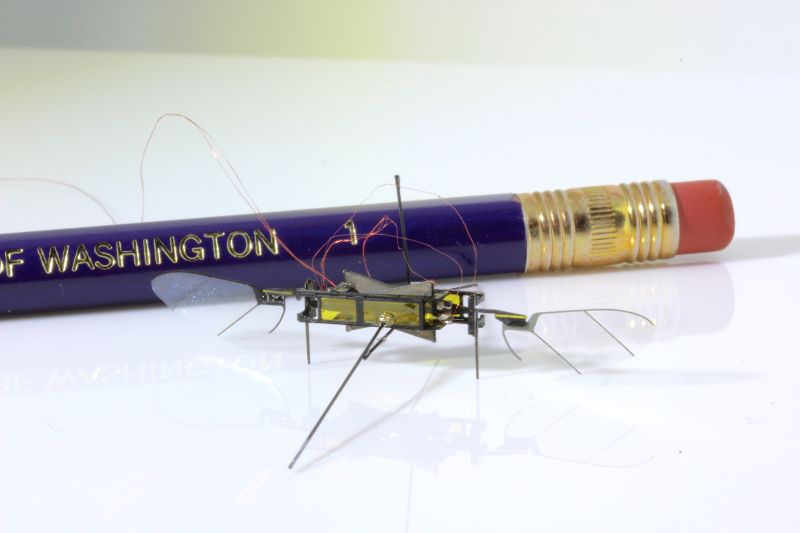 Bugbots could achieve big things | NSF - National Science Foundation