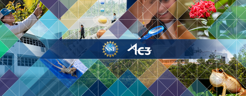 NSF announces pilot phase and anticipated opening date of Arecibo C3 at ...