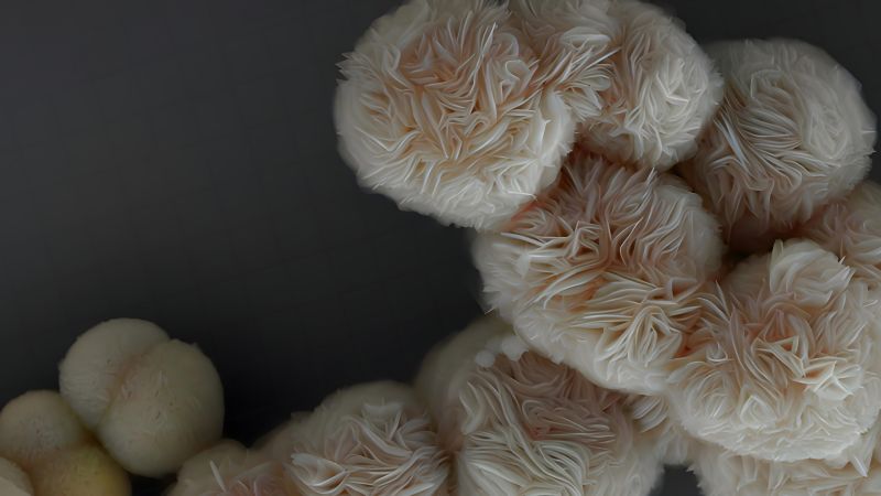 NSF Division of Materials Research Open Hour – Topical Materials Research Programs and Condensed ...