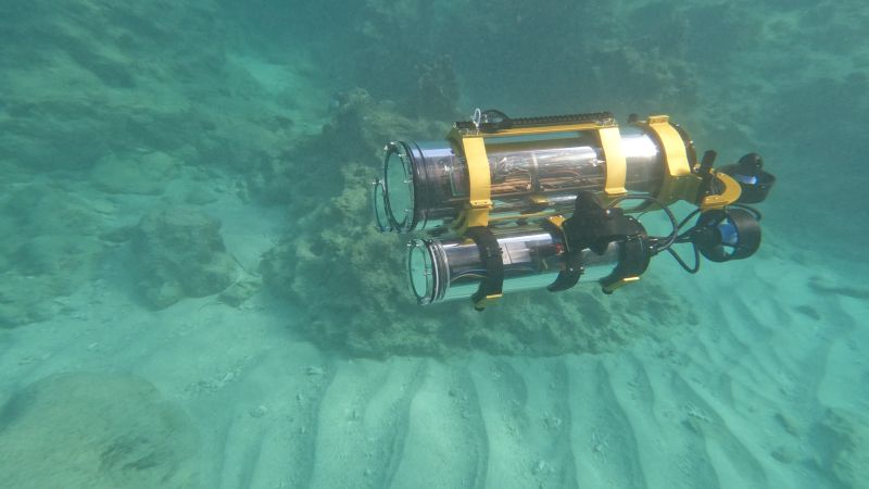 AI-powered underwater robots revolutionize marine conservation, NSF ...
