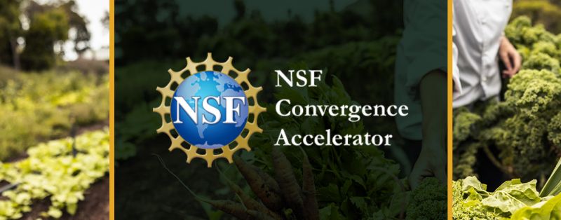 NSF leads a $35M federal investment in future agricultural technologies ...