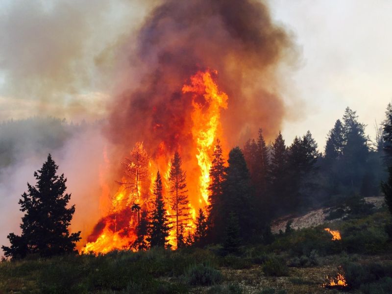 In wake of wildfires and earthquakes, hurricanes and floods, NSF awards ...