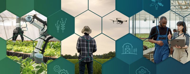 NSF and USDA join forces to boost innovation in agricultural robotics ...