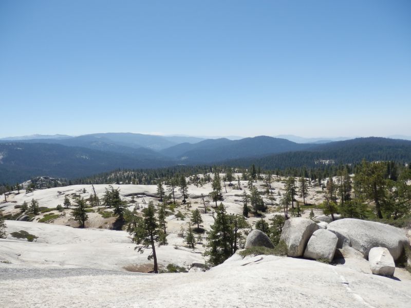 Granite bedrock and sequoia forests 'communicate' in the Sierra Nevada ...