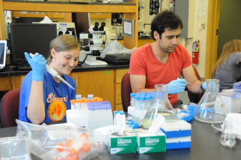 Study suggests survival may not always be about competition | NSF ...