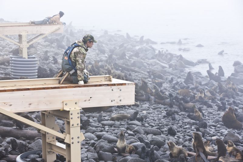 Increasing opportunities for Alaska Natives in science and engineering ...