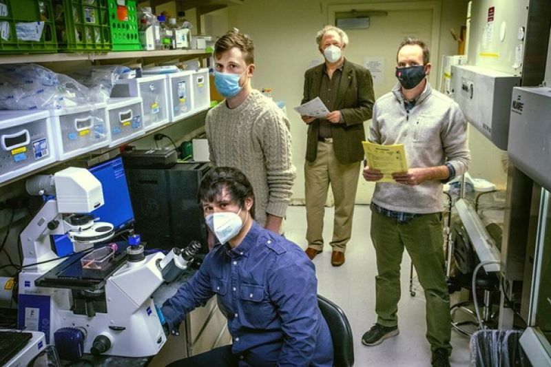 Study shows loss of gene function is causal to congenital heart disease ...