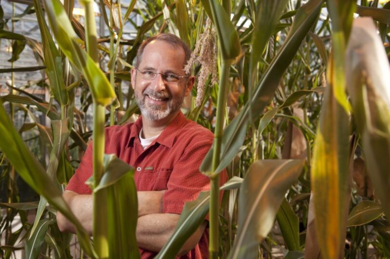 Genetics team aims for better corn plants | NSF - National Science ...