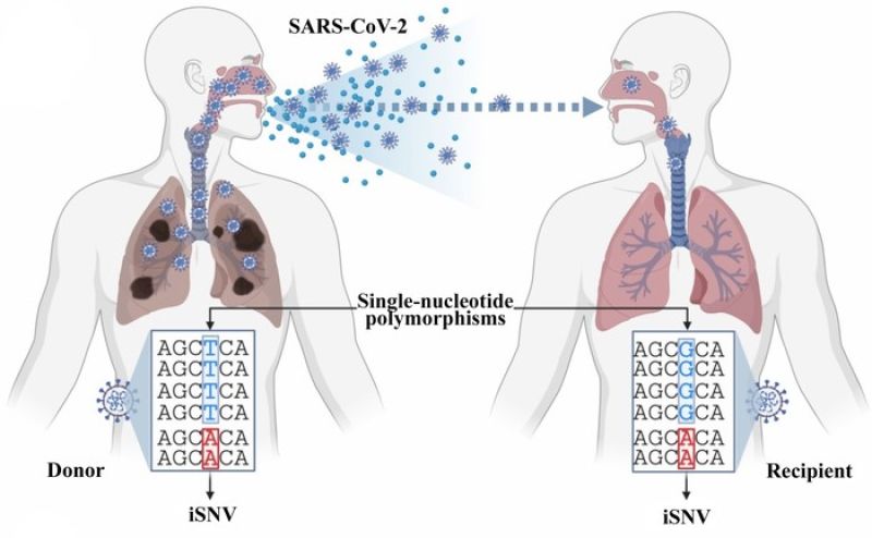 COVID-19 variants can't hide from Variabel | NSF - U.S. National ...