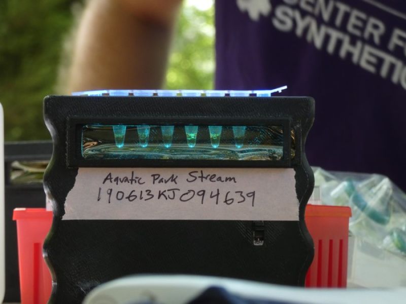 New DNA computer assesses water quality | NSF - National Science Foundation