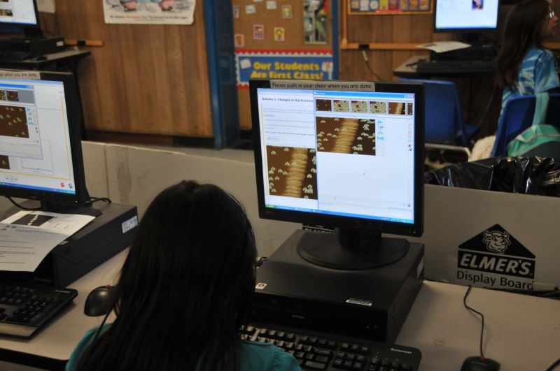 Students Explore Evolution Through Evolution Readiness Project | NSF ...