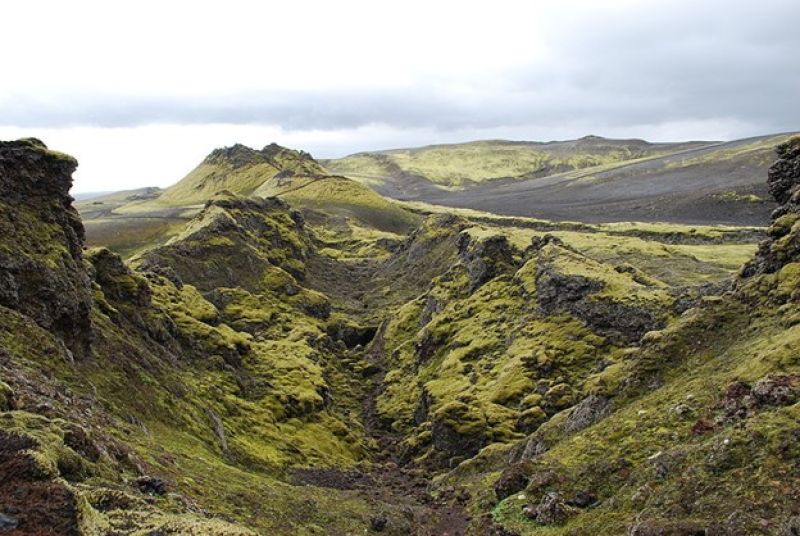 Tree rings and Iceland's Laki volcano eruption: A closer look at ...