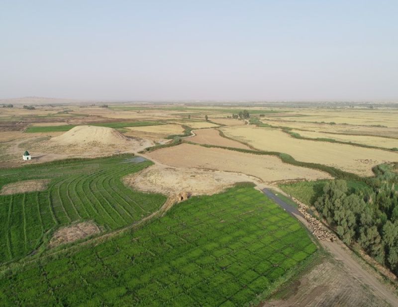 Ancient discovery reveals new knowledge of early Mesopotamian farming ...