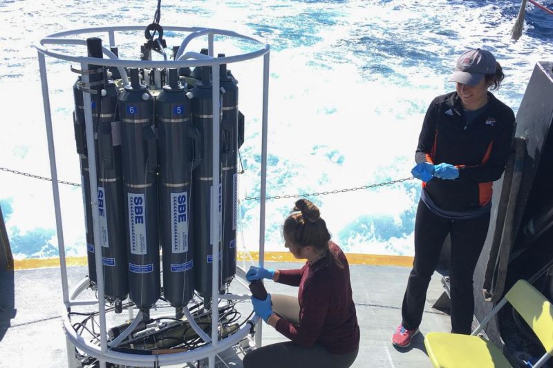 Scientists show 'Red Queen' evolutionary principle at work in microbes ...