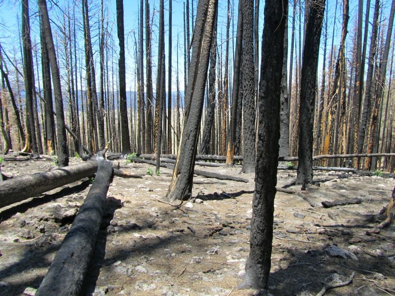 Trail of Fire Leads to Less Snow, Threatened Water Resources | NSF ...