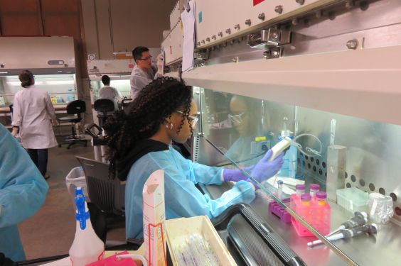 Biomedical engineering internships store